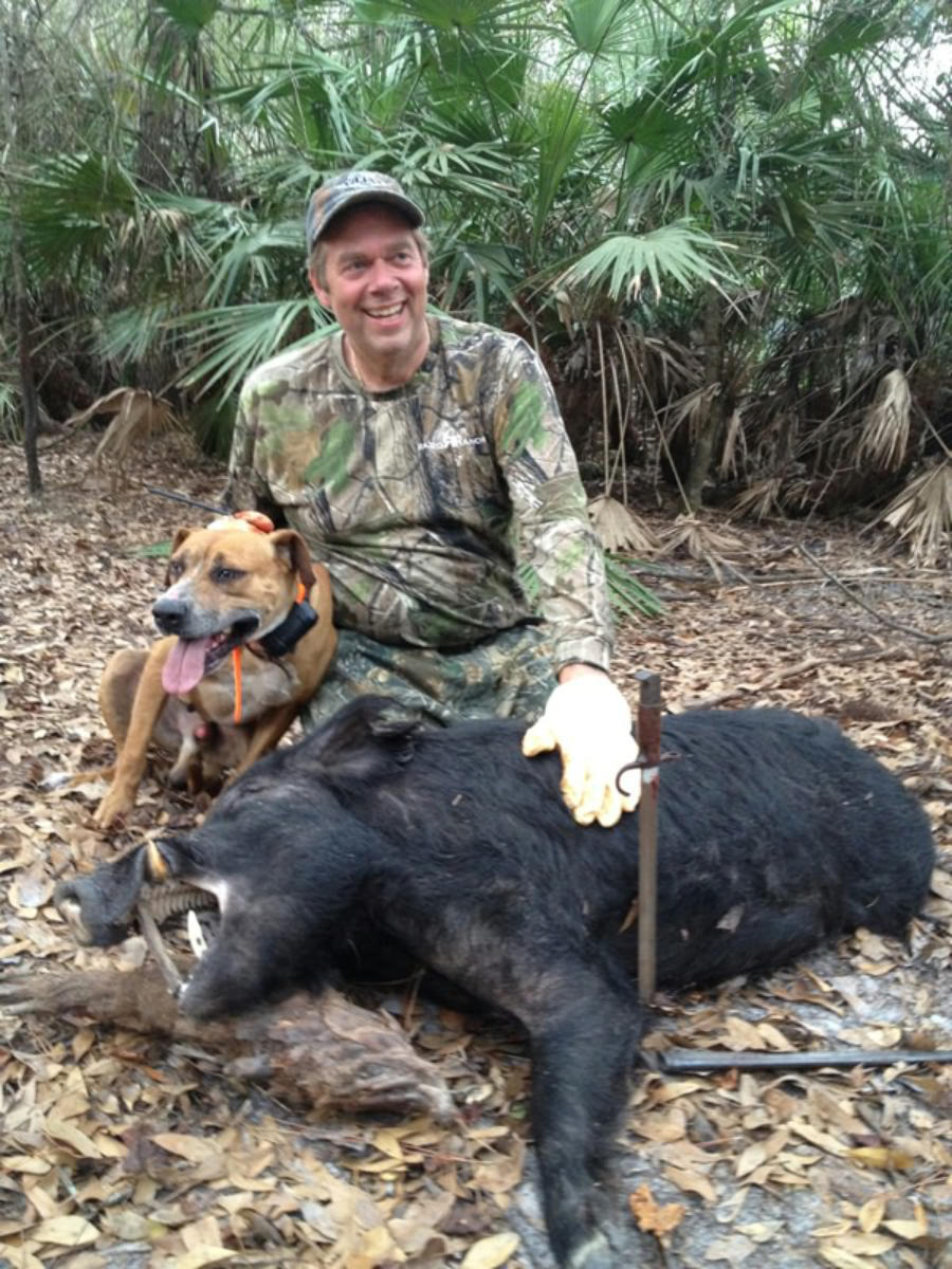 Dogs Hunting Boar